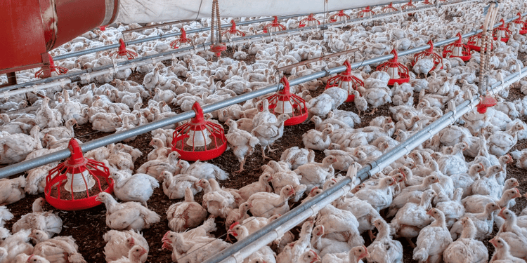 Smart IoT Agriculture Farming Monitoring Solutions – Apexio Industrial