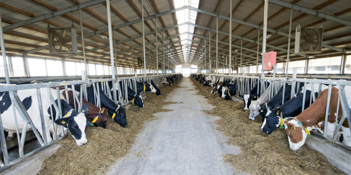 Smart IoT Agriculture Farming Monitoring Solutions – Apexio Industrial